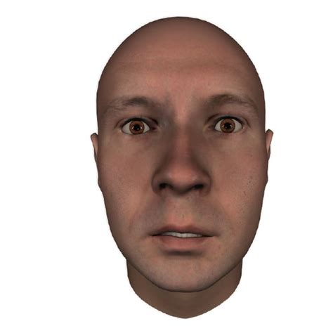 Facial Expressions Varying On Affective Dimensions Of Valence And