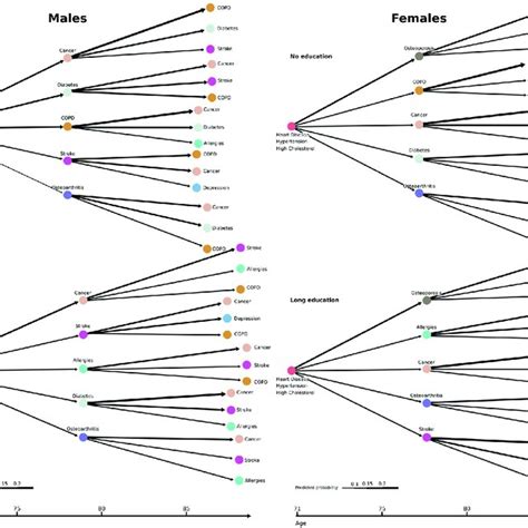Sex Specific Disease Trajectories Contrasting Educational Attainment