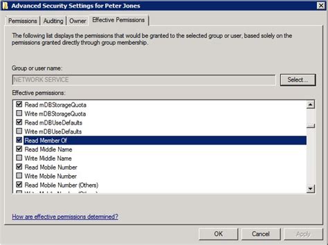 Checking And Setting Read Member Of Permission For The Network Service Account Exclaimer