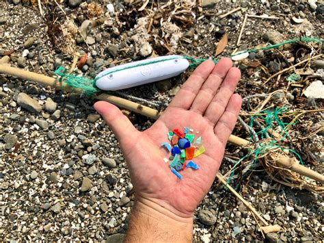 プラスチックが海を殺す！？近い将来、海中のプラごみが魚の量を超える Be Pal