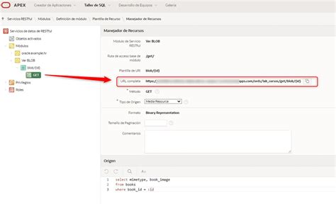Cómo previsualizar PDF via RESTful en Oracle APEX Aprender Tecnologías Oracle APEX Toad y