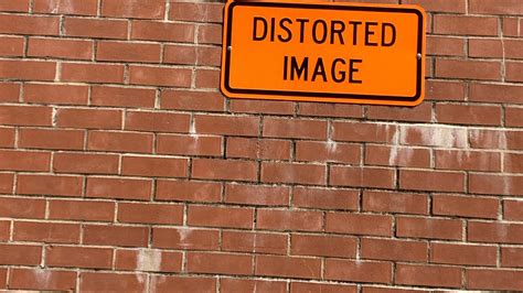 Reesi Live Stream Youtube