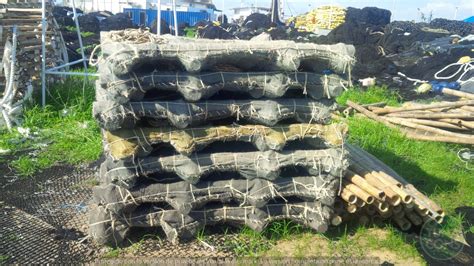 Nirsa Desarrolla Plantado Biodegradable Para Pesca Sostenible Farras Live