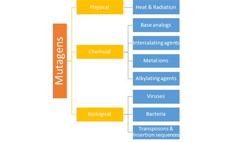 Mutagen Examples