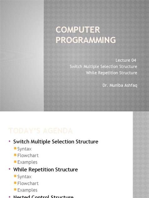 Computer Programming 04 Pdf Control Flow Integer Computer Science