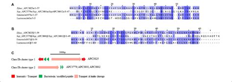 Multiple Sequence Alignments Msa Of Class Iib Bacteriocin Download Scientific Diagram