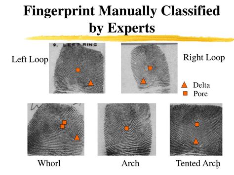 Ppt Fingerprint Classification By Som Powerpoint Presentation Free Download Id333267 Ppt Fingerprint Classification By Som Powerpoint Presentation Free Download Id333267