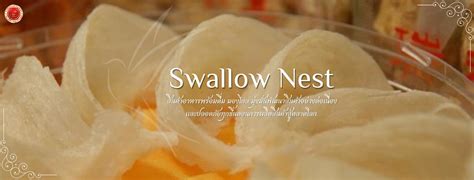 Swallow Nest Swallow Nest Added A New Photo