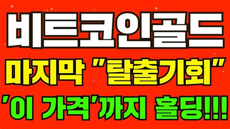 비트코인골드 마지막 탈출 기회 이 가격까지 무조건 홀딩 비트코인골드 비트코인골드코인전망 Youtube