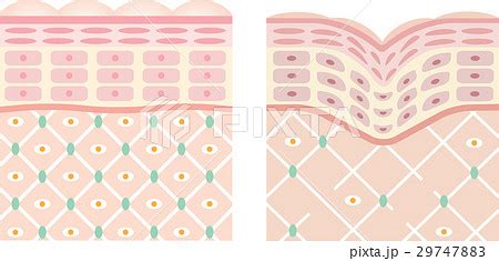 Pixta