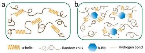 Self Assembled Structures Of A Electrospun Pure SF Nanofibers B