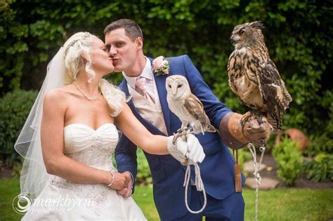 Animals Getting Married