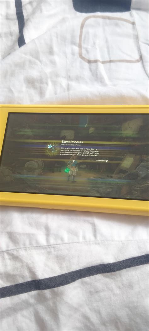 Nintendo Switch Lite Vertical Lines R Nintendoph