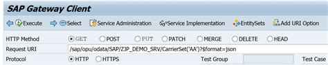 Building Odata Services 9 Testing Crud Q Operations From Gateway Client Discovering Abap