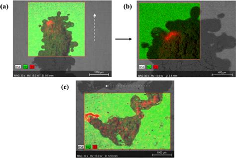SEM EDX Images Of FFC Features On The Surface Of The E717 Mg Alloy