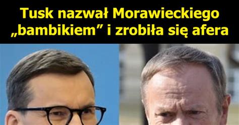 Tusk Nazwał Morawieckiego Bambikiem Ministerstwo śmiesznych Obrazków
