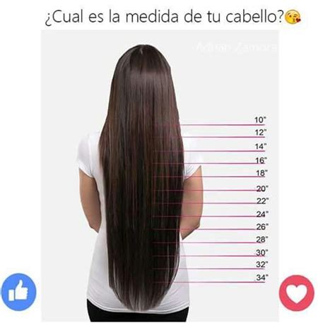 Imagenes De Cabello Largo Largos De Pelo Medidas De Cabello Tips De