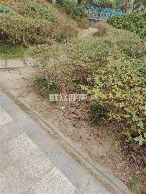 兴想花园小区绿化问题 群众呼声四川问政 四川省网上群众工作平台 新都区委书记