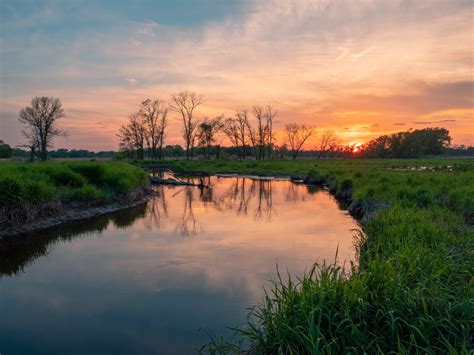 A Beginners Guide To Biodiversity Offsetting Ecology By Design