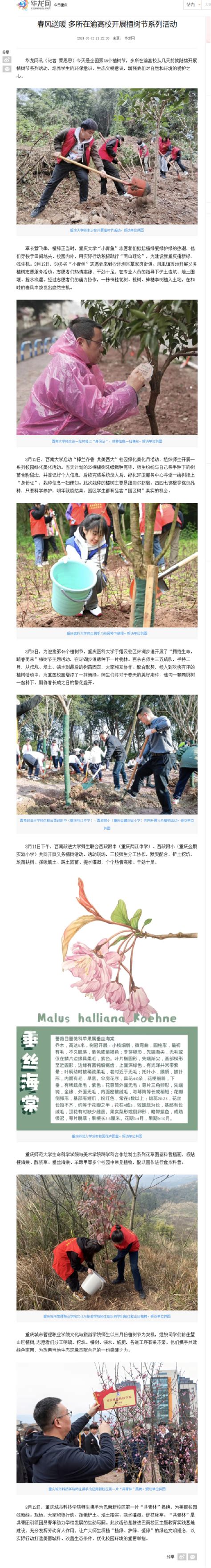 华龙网 春风送暖 多所在渝高校开展植树节系列活动