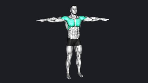 Arm Crossover How To Do Alternatives  And More