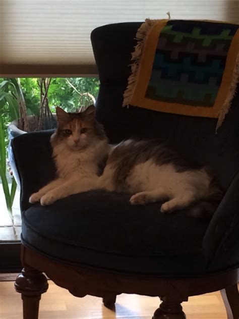 Penny Eckerts Web Page