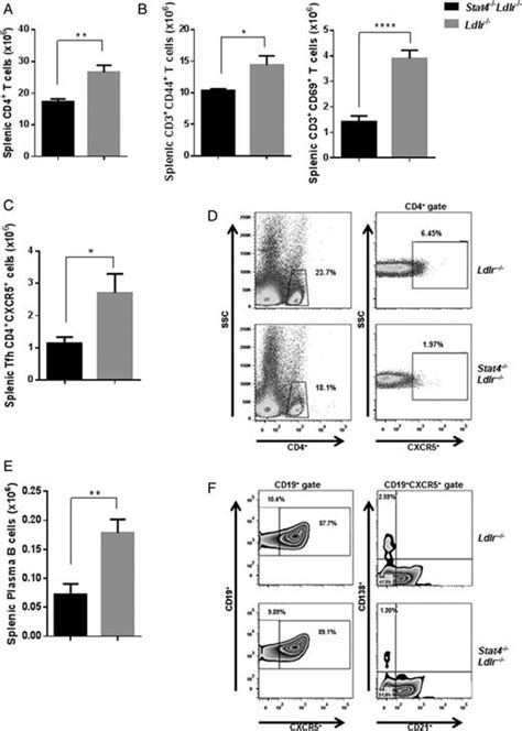 Stat4 Regulates The Cd8 Regulatory T Cellt Follicular Helper Cell