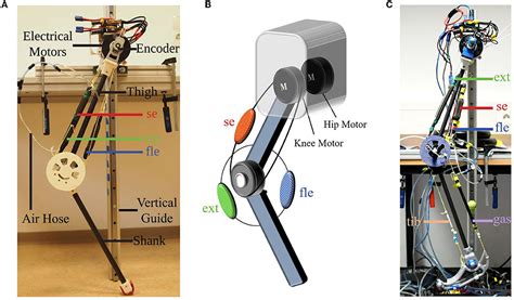 Robotic Arm 2DOF Arm With Quick Movement Stepper Servo 59 OFF