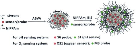 Schematic Illustration Of The Preparation Process Of The Download Scientific Diagram