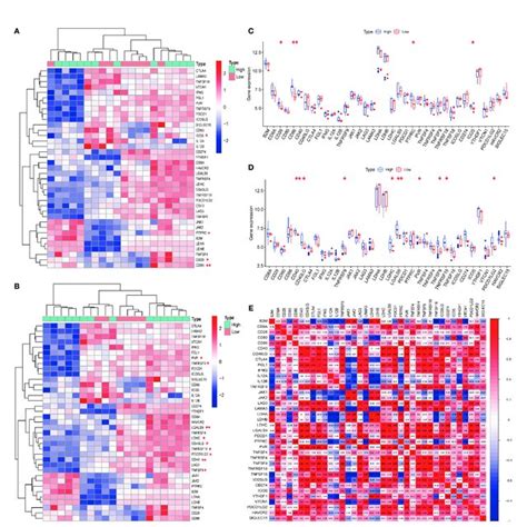Moduletrait Correlations A Eigengene Adjacency Heatmap Eigengene