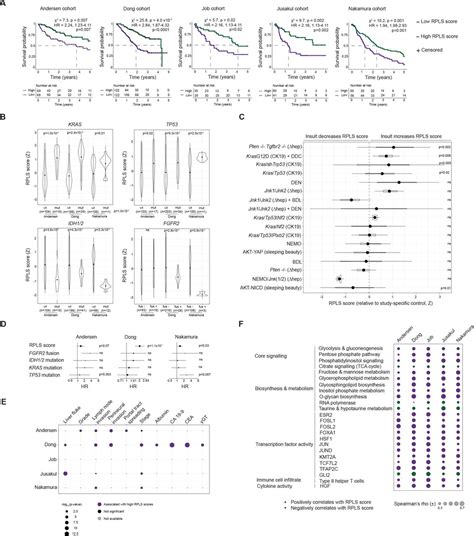 Molecular Portraits Of Patients With Intrahepatic Cholangiocarcinoma Who Diverge As Rapid