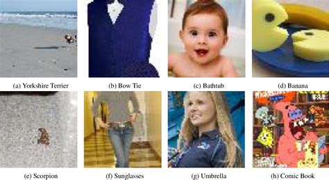 figure 1 from using convolutional neural network for the tiny imagenet