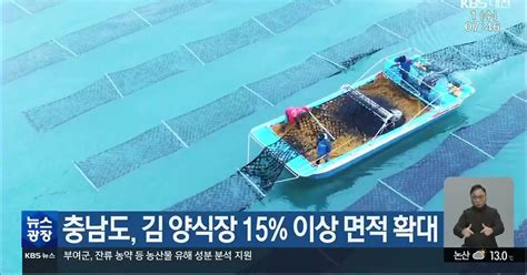 충남도 김 양식장 15％ 이상 면적 확대