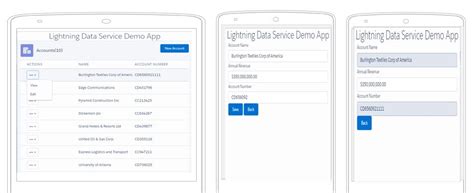 salesforce stuff lightning data services hands on training guide