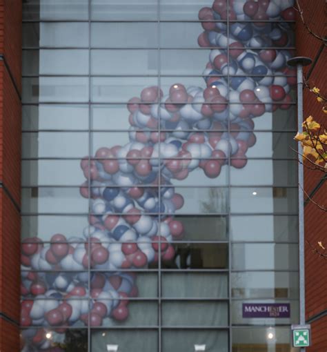 Sankari Nagarajan Nagarajan Lab Manchester Epigenetics