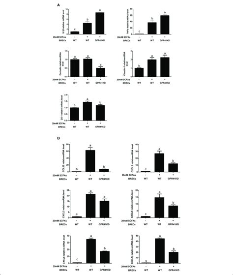 Quantitative Real Time Polymerase Chain Reaction Analysis Of Selected