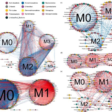 Co Occurrence Network At Bacterial Genus Level In Ck A T1 B T2 Download Scientific