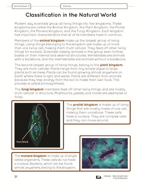 Living Things Classification Systems E Lesson Plan Grade 6