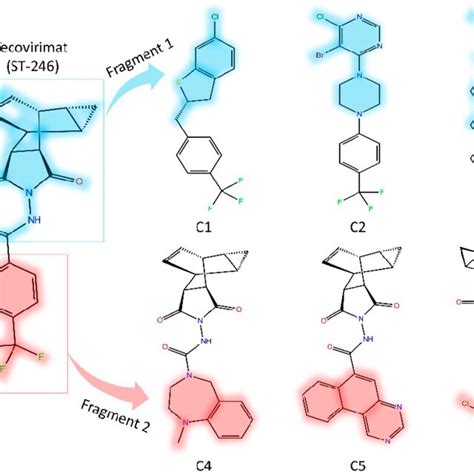 The Identified Top Three Hits Of Each Fragment After Virtual Screening