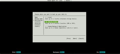 Ubuntu Sunucularda Veem Linux Agent Ile Yedekleme Makdos Blog