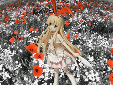 Picture 185609 —
