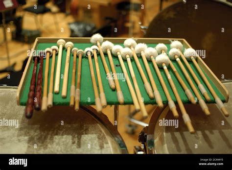 Mallet Percussion Fun Facts At James Oneill Blog