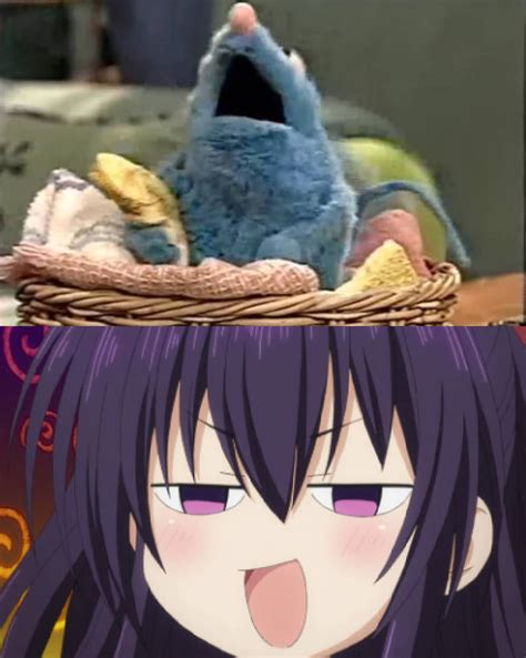 Tutter Laughing Meme By Alittlecuriousfan99 On Deviantart
