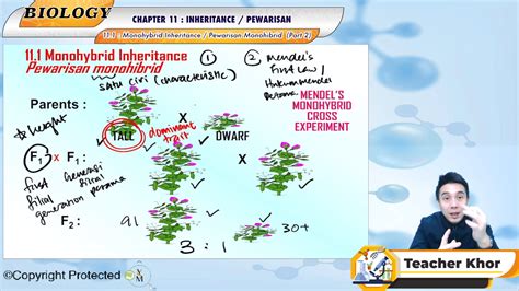 F5 Bio 11 02 Monohybrid Inheritance Pewarisan Monohibrid Part 2 Jom Tuisyen