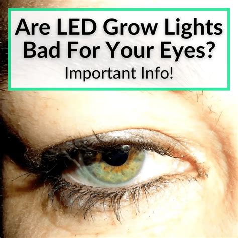 Can Led Lights Mess Up Your Eyes Homeminimalisite Com