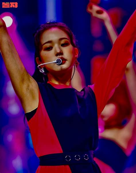 놀쟈 성인들의 파라다이스