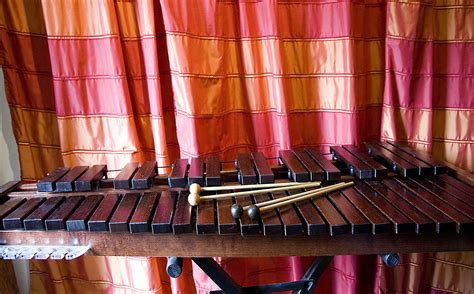 31 Facts About Xylophone