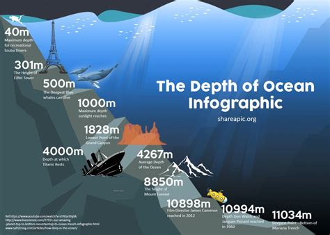 Quantos Por Cento Do Oceano Foi Explorado Ensino
