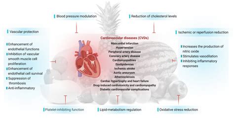 Promising Nutritional Fruits Against Cardiovascular Diseases An