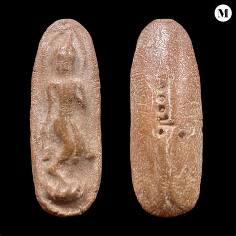 พระทุ่งเศรษฐี รุ่น 100 ปีเกิดหลวงปู่ปานเนื้อดิน หลวงพ่อฤาษีลิงดำ วัดท่าซุง ปี 2518 Shopee Thailand